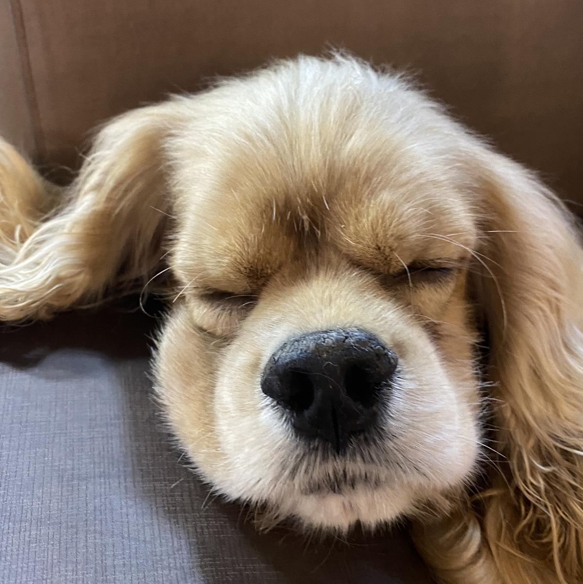 โพสต์ ของ Pluto|Lemon8