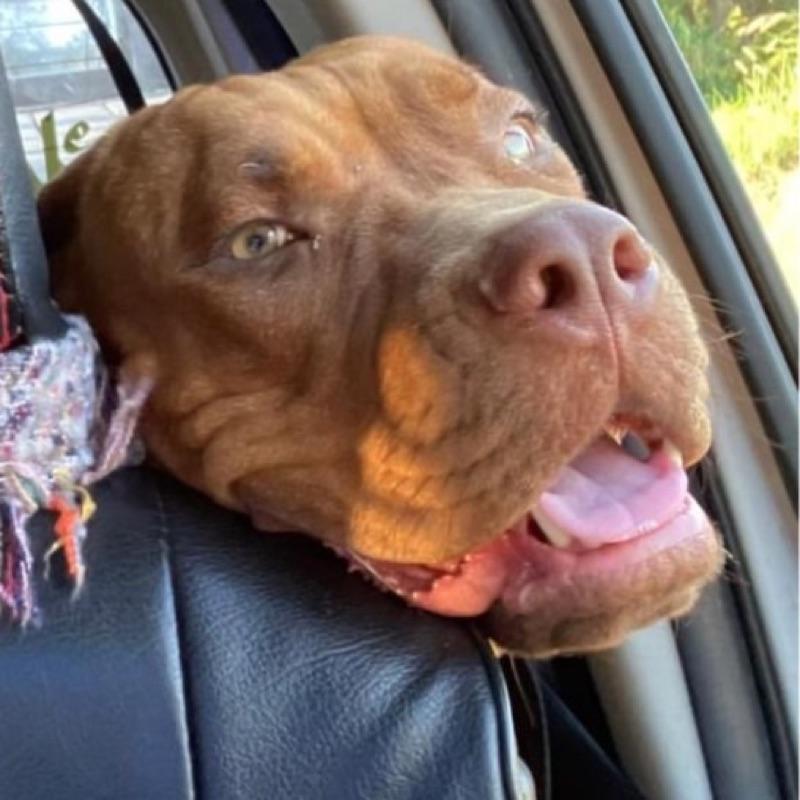 โพสต์ ของ Kapum|Lemon8