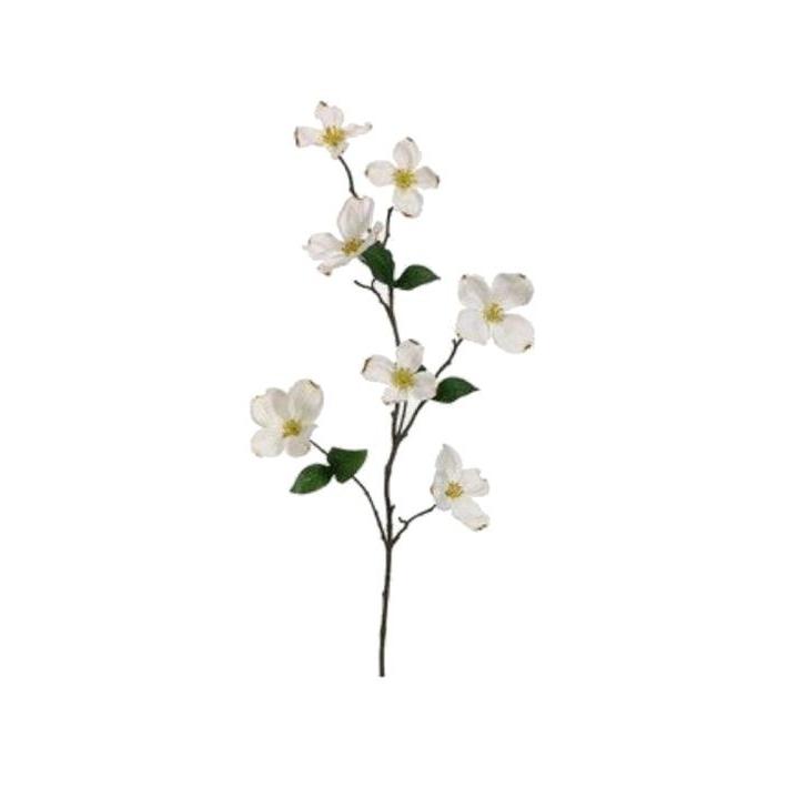 Posting vanilla|Lemon8