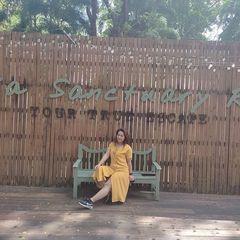 โพสต์ ของ Vanda Panthamit|Lemon8