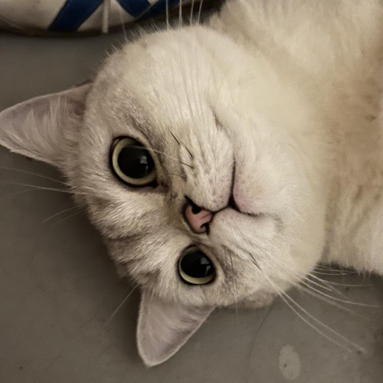 sab 🎱's Post|Lemon8