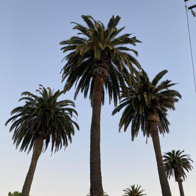 โพสต์ ของ engeng|Lemon8