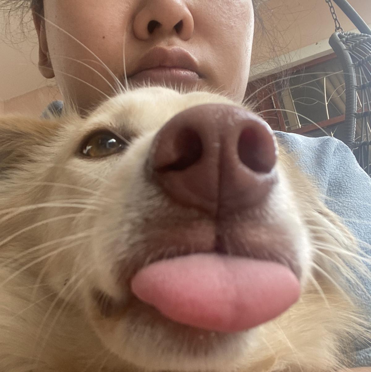 โพสต์ ของ Kasama Rattanav|Lemon8