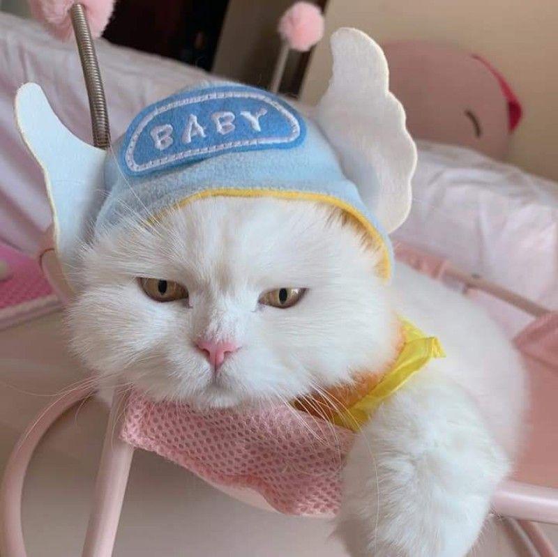 โพสต์ ของ M|Lemon8