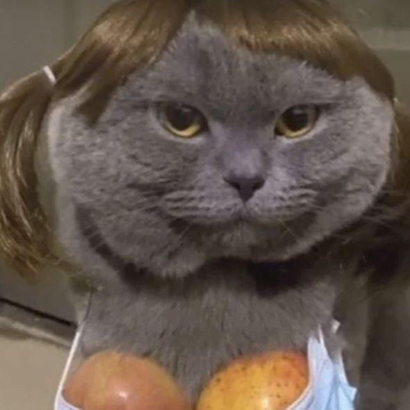 โพสต์ ของ BOTHI|Lemon8