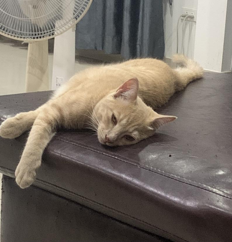 โพสต์ ของ SUPA|Lemon8