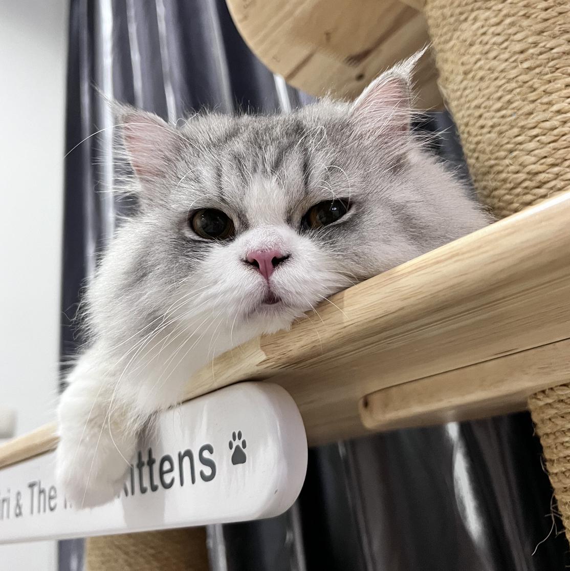 โพสต์ ของ Orm|Lemon8