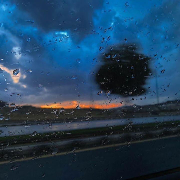 โพสต์ ของ Diastasa|Lemon8