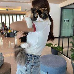 โพสต์ ของ CJ Chonnikarn|Lemon8