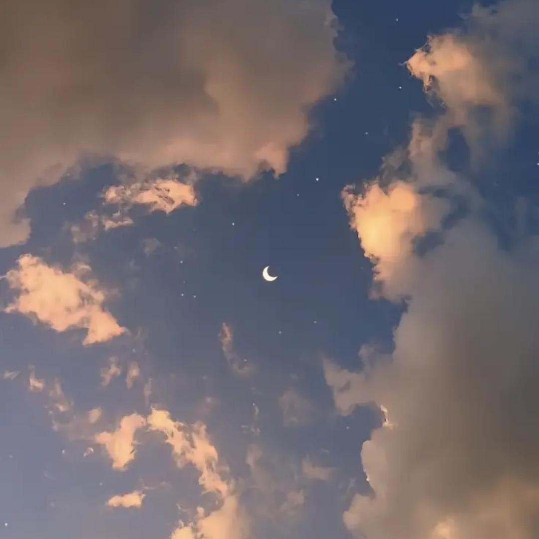 โพสต์ ของ Narawadee Samor|Lemon8