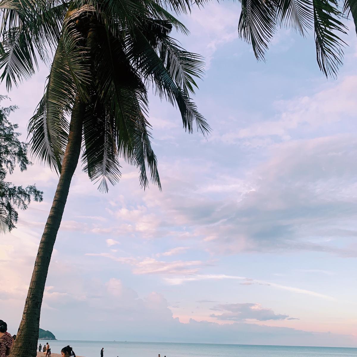 โพสต์ ของ 𝗡𝘁|Lemon8