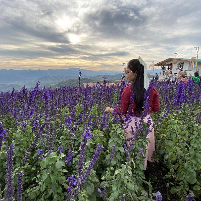 Chanee Jab's Post|Lemon8