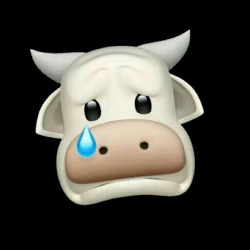 โพสต์ ของ PP.|Lemon8