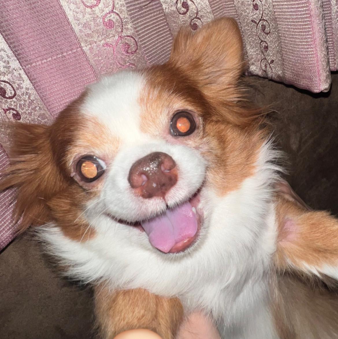 โพสต์ ของ noey|Lemon8