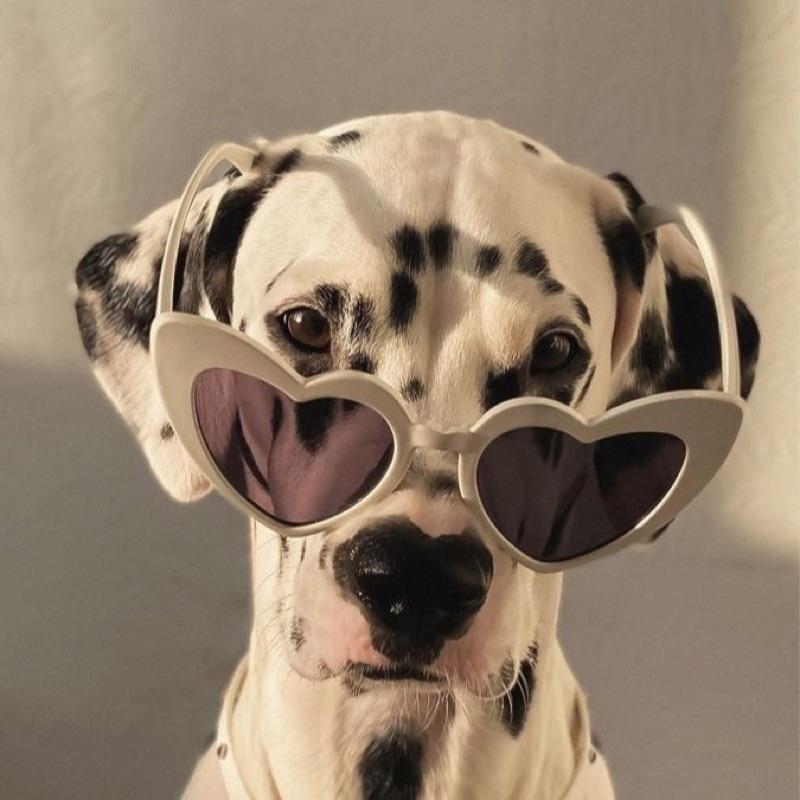 โพสต์ ของ Thapanee.noei♡ʕ|Lemon8