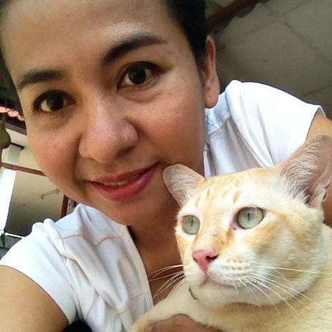 โพสต์ ของ fonfon love cat|Lemon8