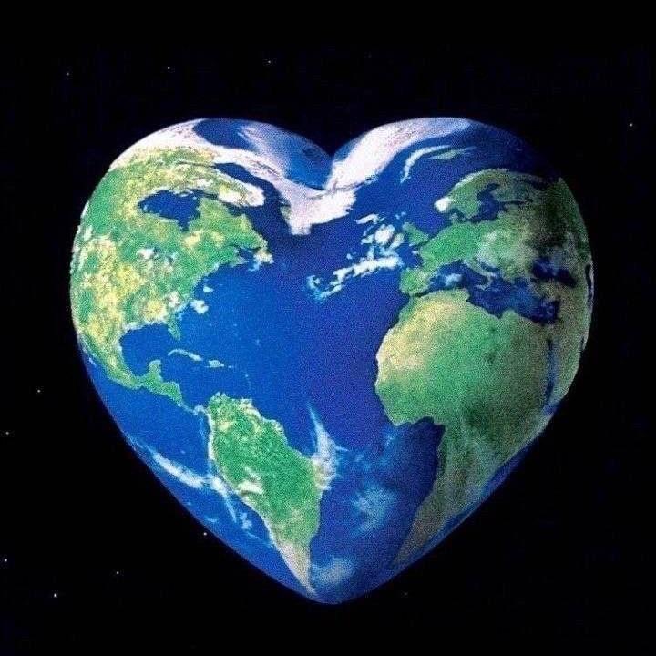 โพสต์ ของ Join|Lemon8