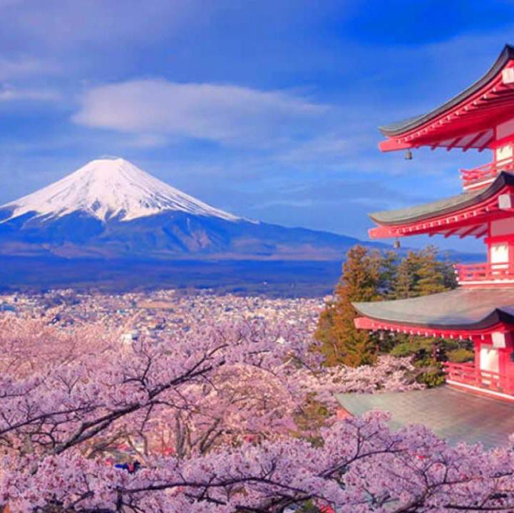 โพสต์ ของ Tk 📷|Lemon8