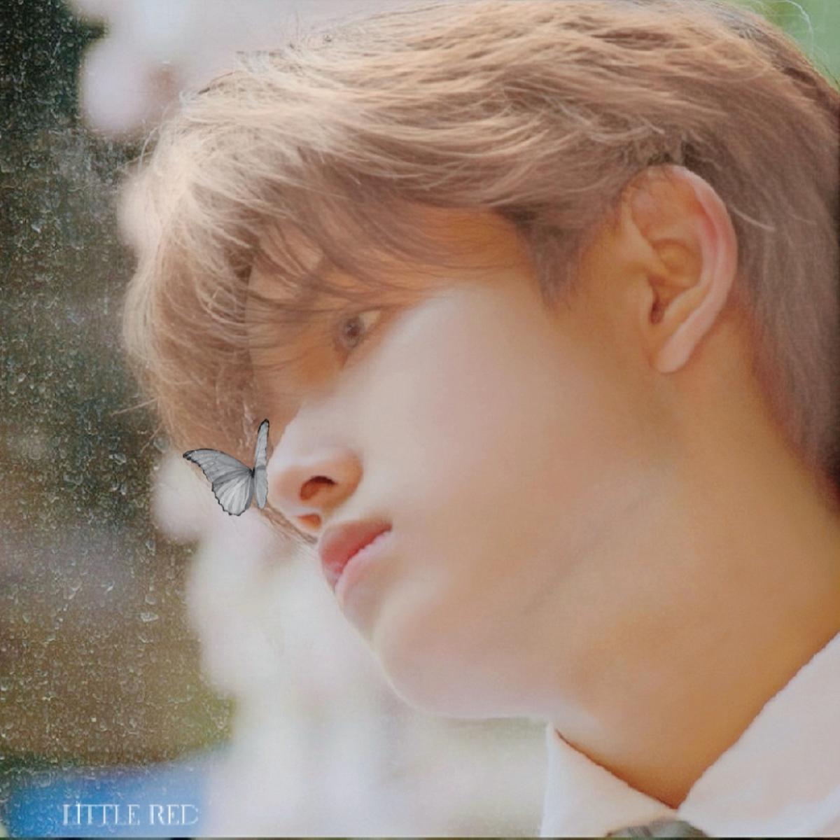 โพสต์ ของ jt|Lemon8