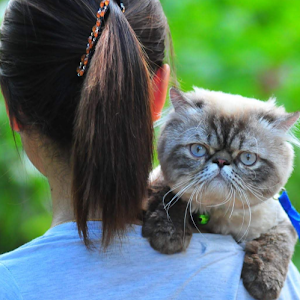 โพสต์ ของ Amy Love MaToom|Lemon8