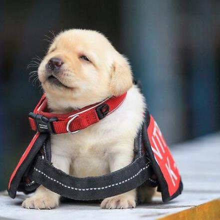 โพสต์ ของ Code|Lemon8