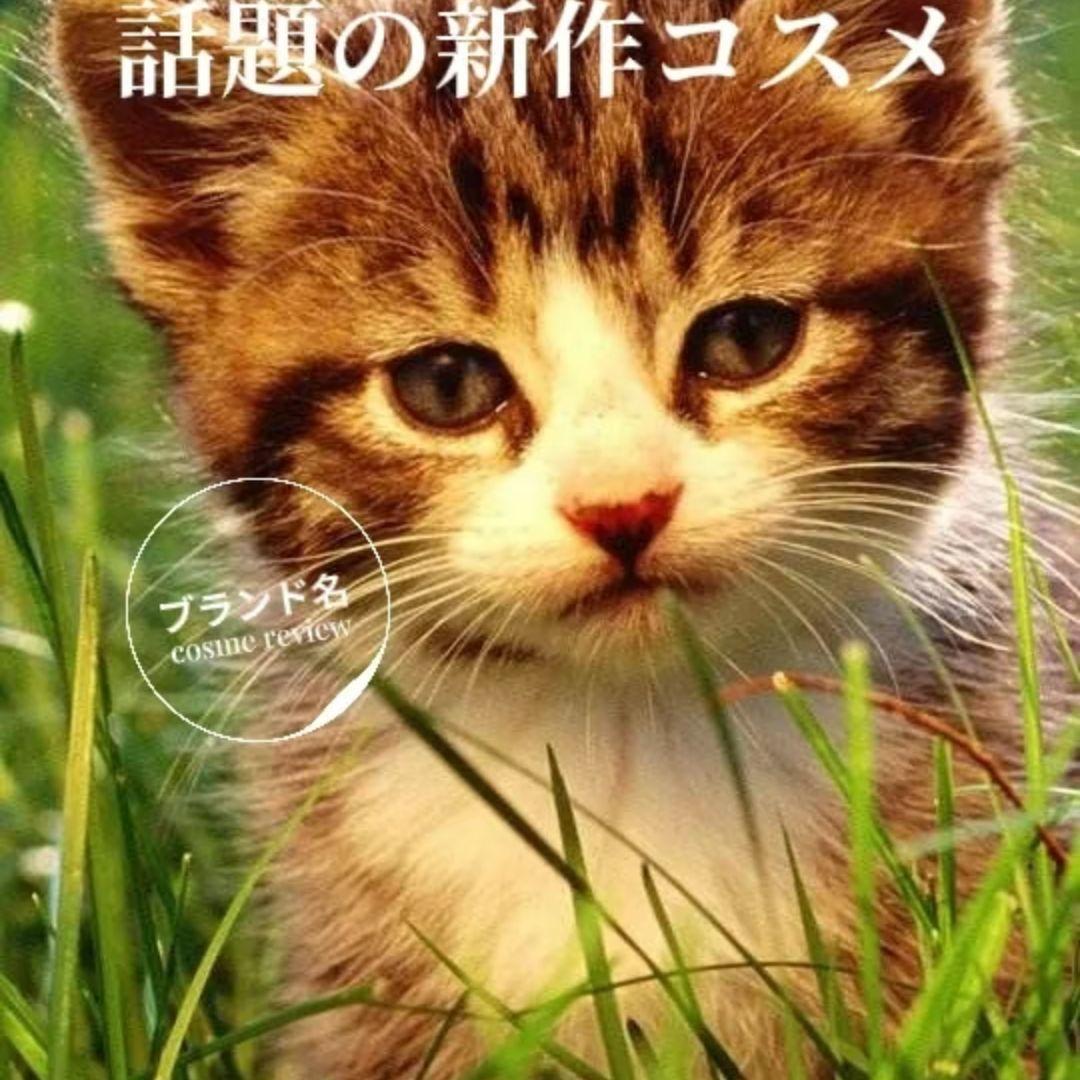 โพสต์ ของ jrjrj|Lemon8