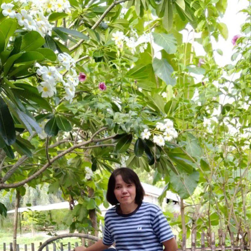 โพสต์ ของ khemika|Lemon8