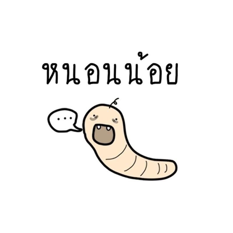 โพสต์ ของ Gingg|Lemon8