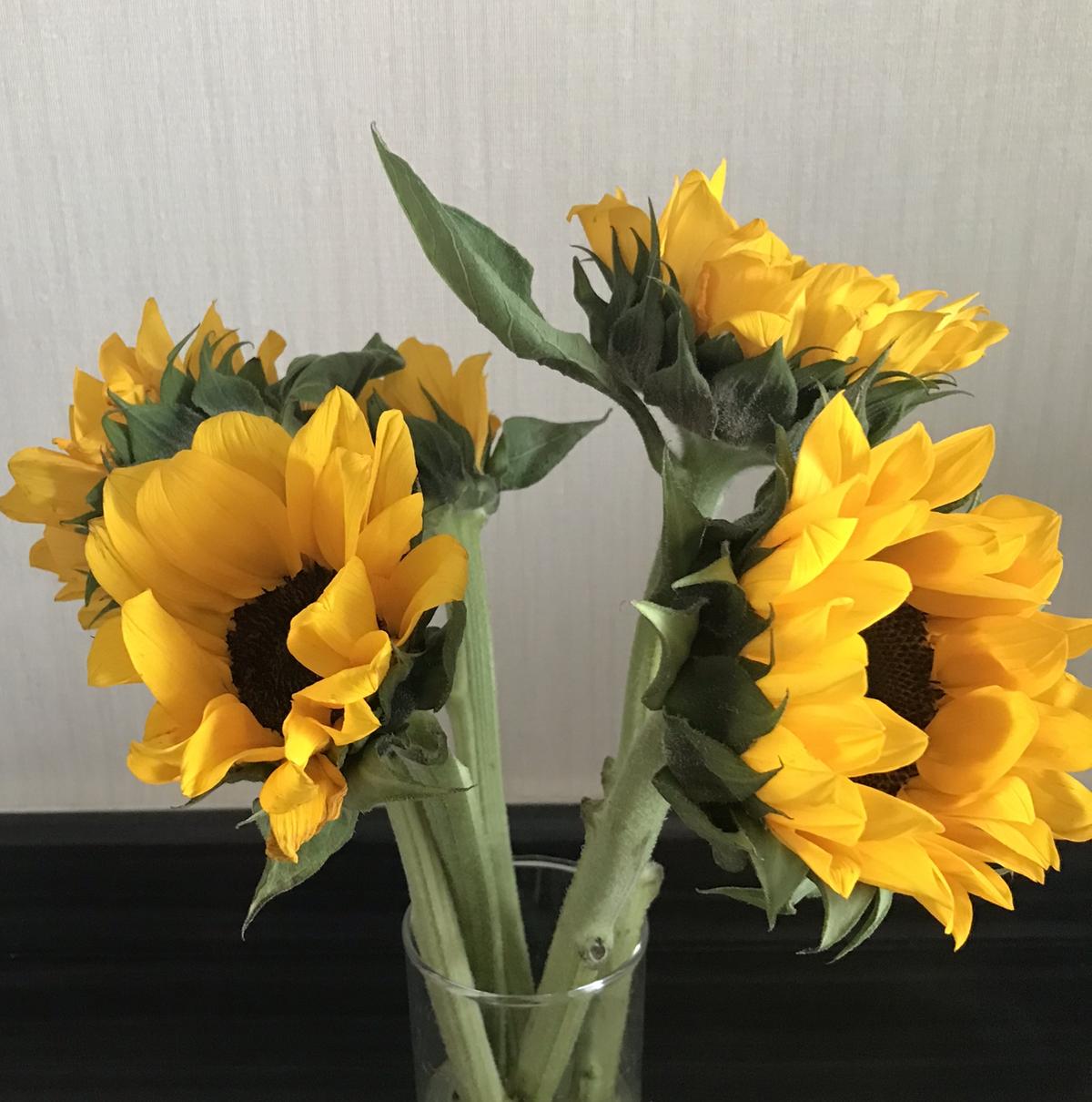 โพสต์ ของ Sunshine baby ☼|Lemon8