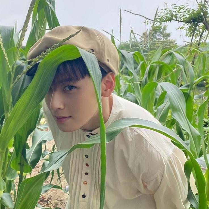 โพสต์ ของ Mira.|Lemon8