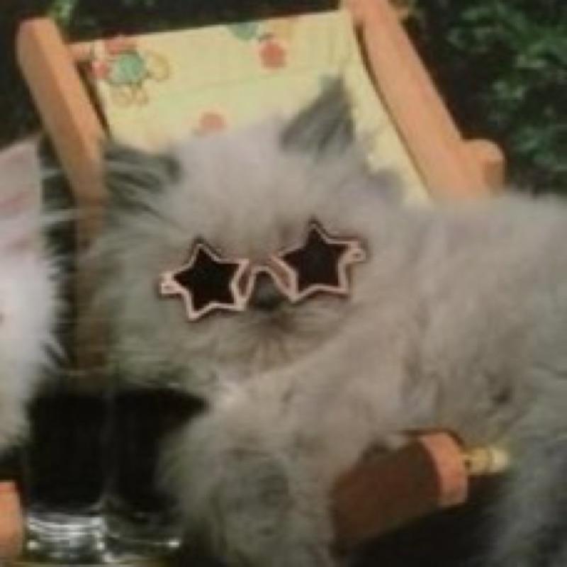 โพสต์ ของ mina|Lemon8