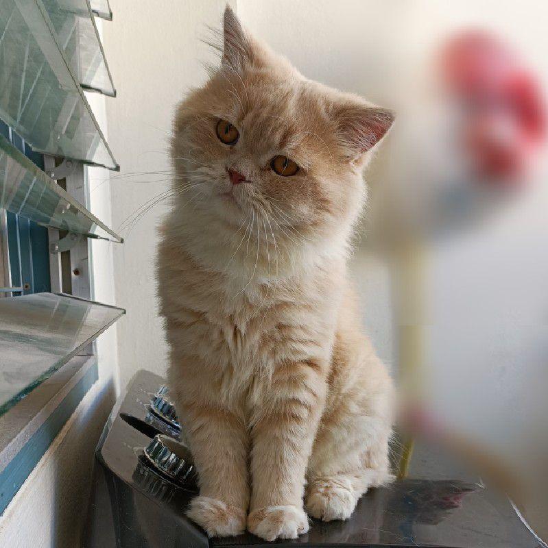 โพสต์ ของ 😈Devil 👿|Lemon8