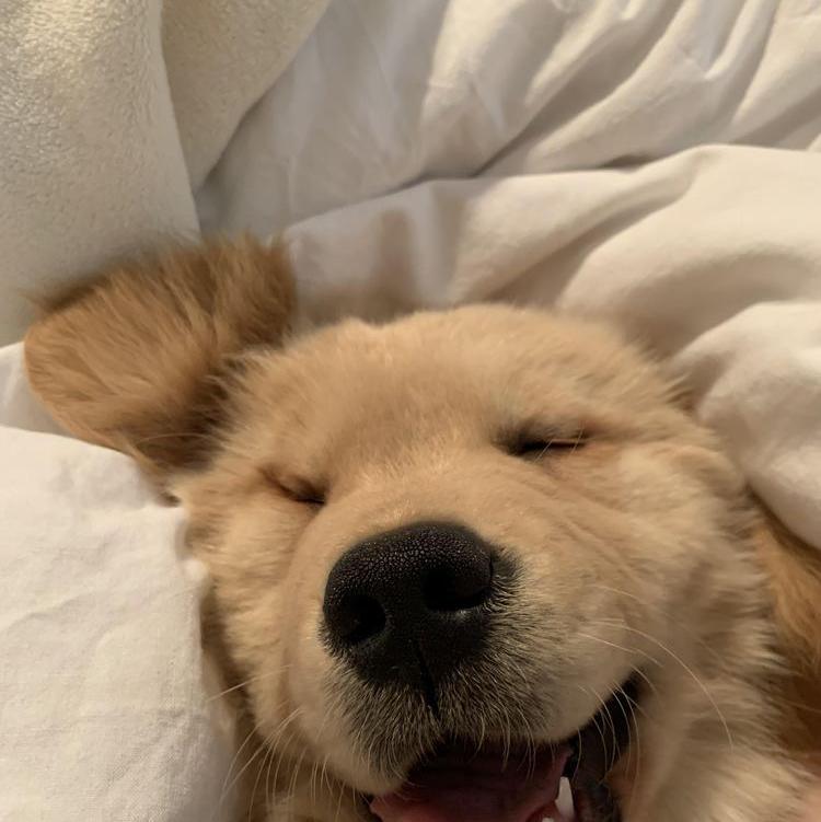 โพสต์ ของ ARRAYA |Lemon8