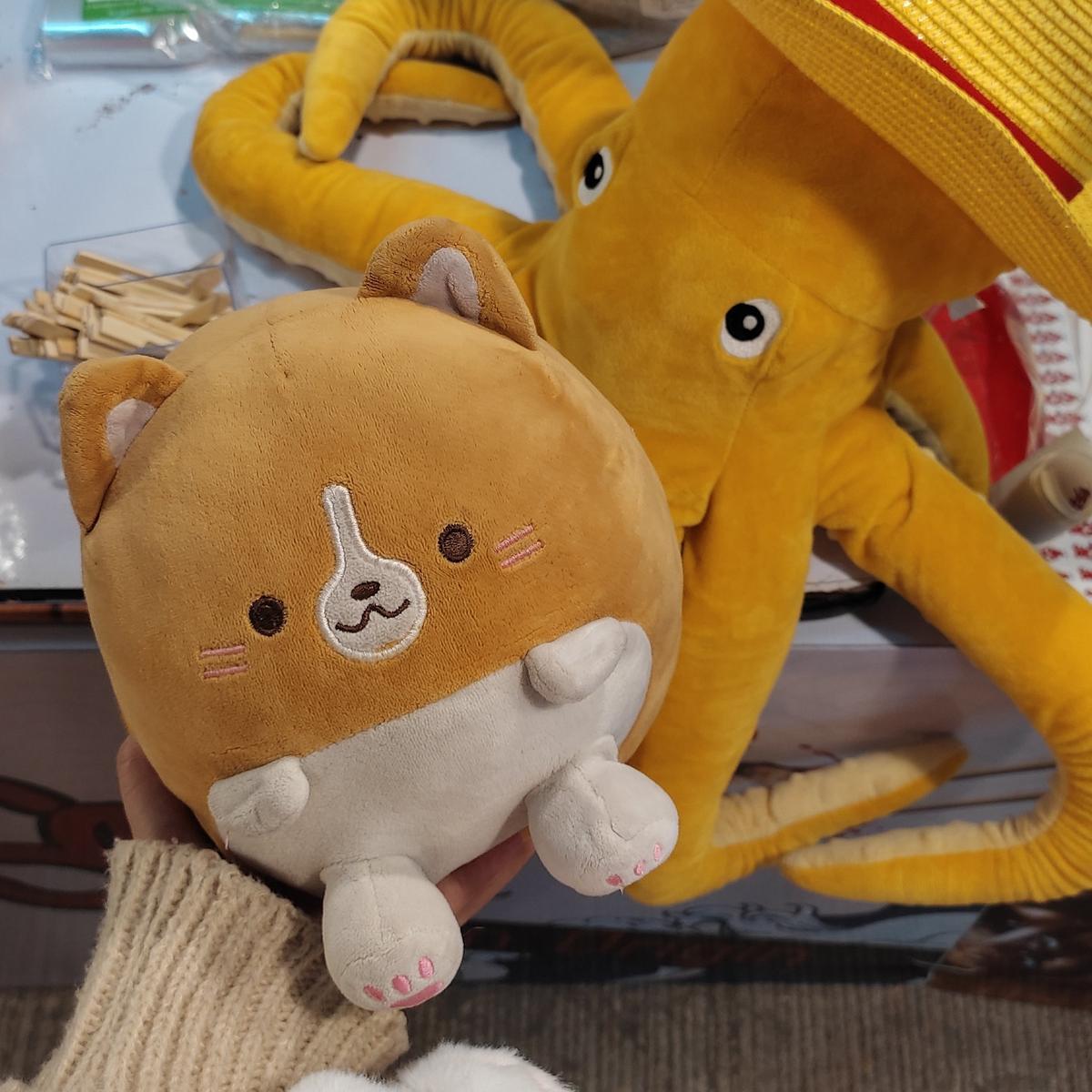 โพสต์ ของ ♡Mallow~Maow♡|Lemon8