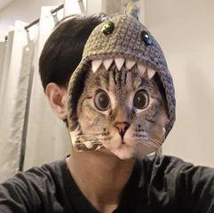 โพสต์ ของ Oak|Lemon8