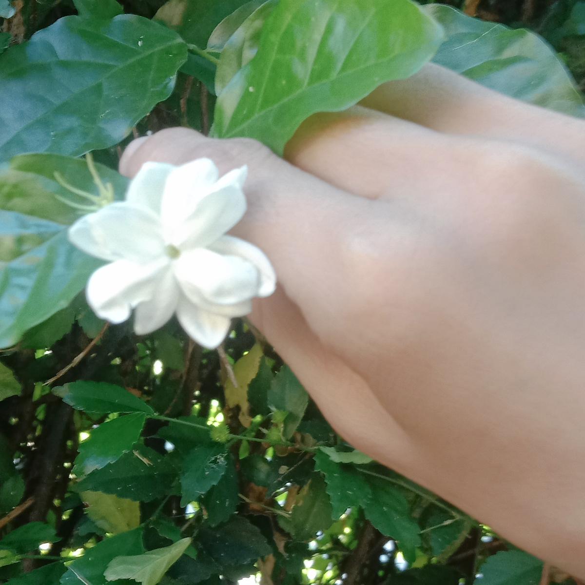 โพสต์ ของ Su|Lemon8