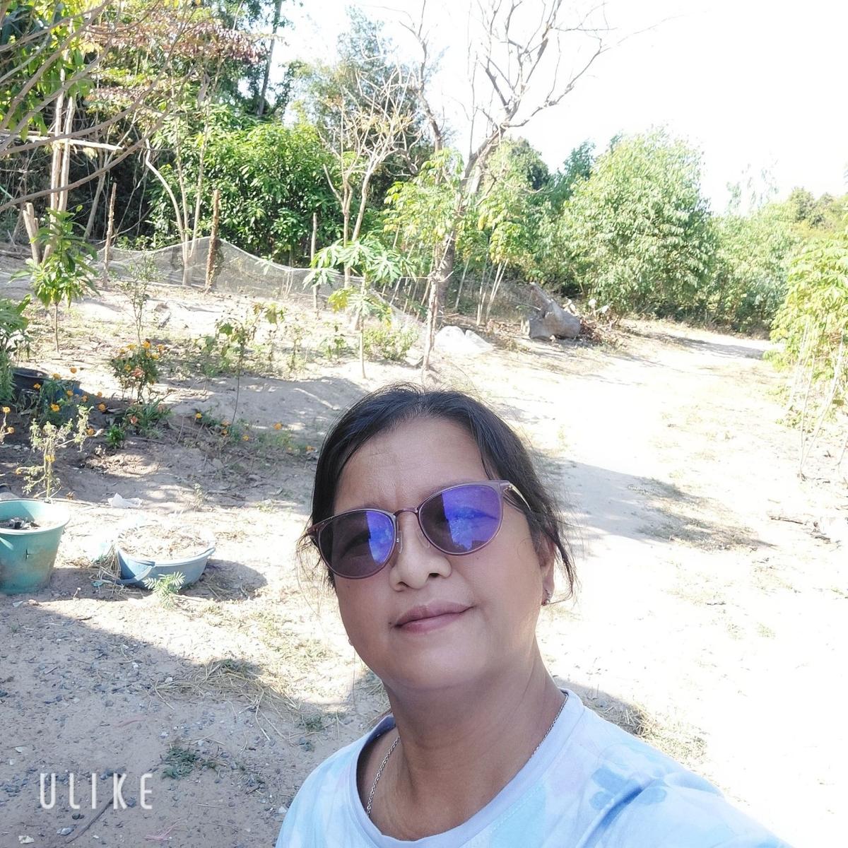 โพสต์ ของ somjai 236|Lemon8