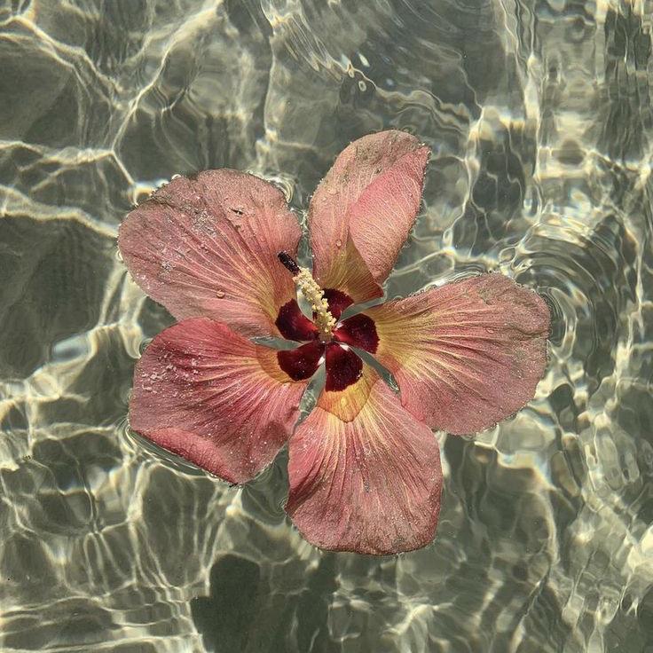 โพสต์ ของ 23 ocher|Lemon8