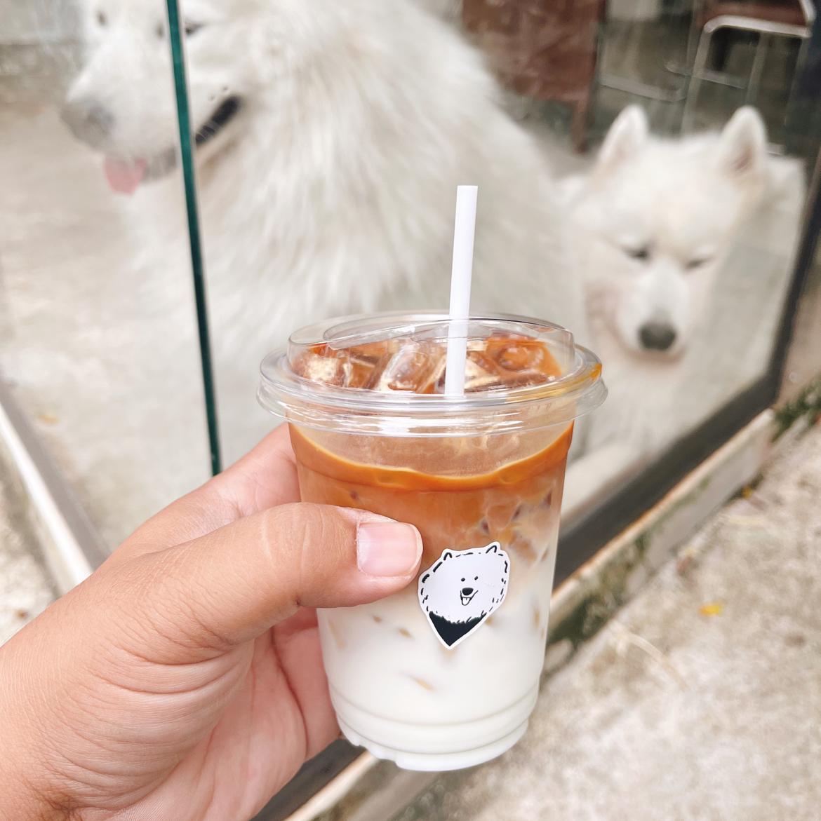 โพสต์ ของ Seal Sweet|Lemon8