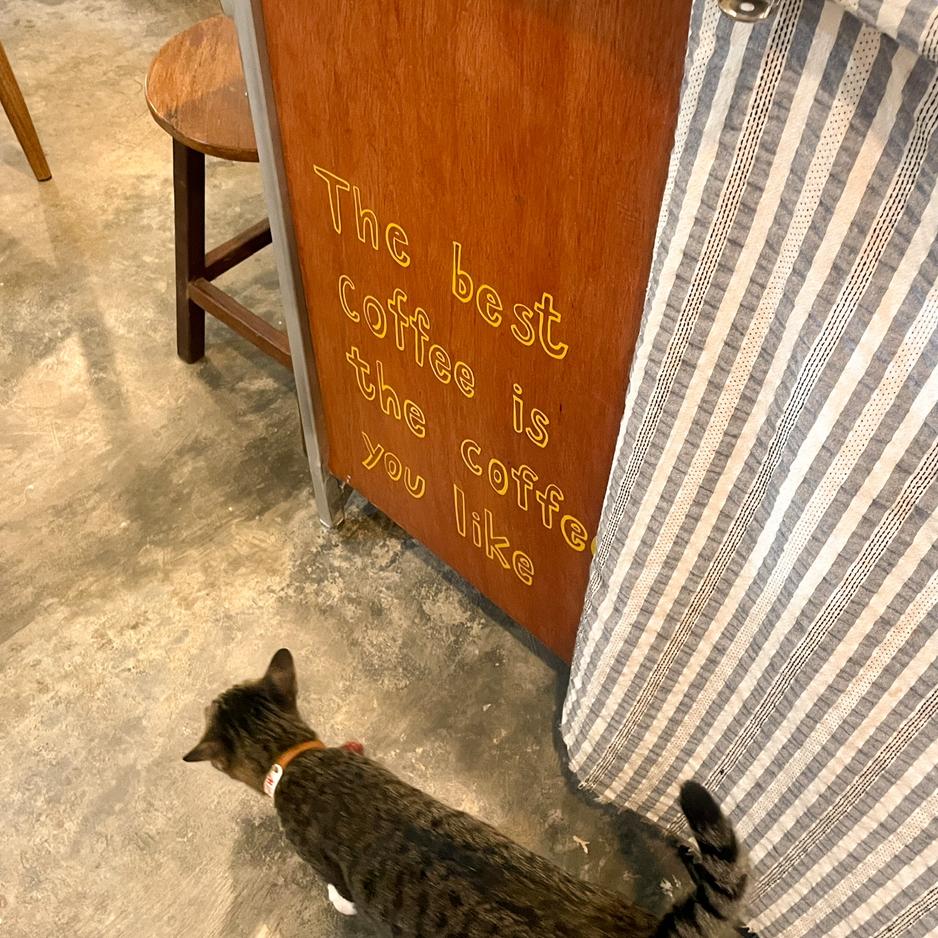 โพสต์ ของ bubbleblue|Lemon8