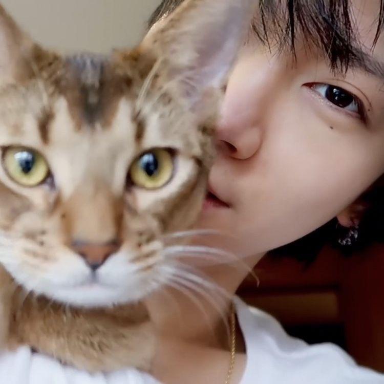 โพสต์ ของ kream|Lemon8