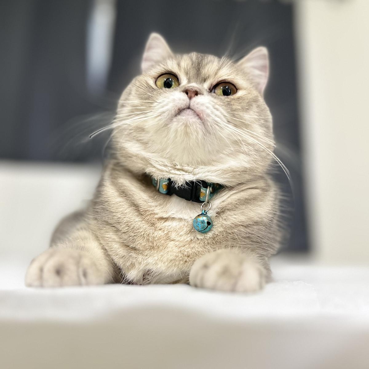 โพสต์ ของ Little-tcn|Lemon8