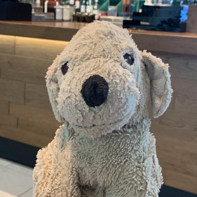 โพสต์ ของ Rainnie |Lemon8