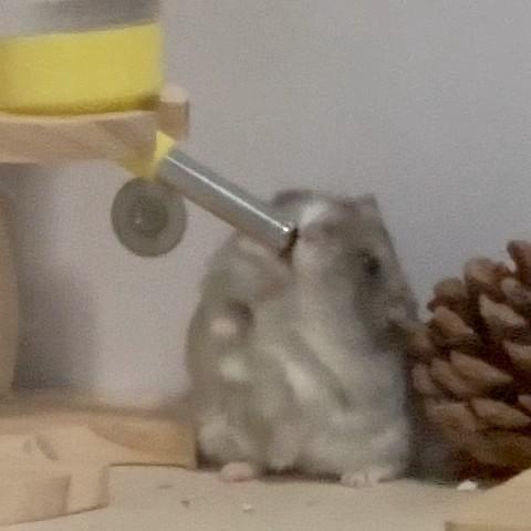 โพสต์ ของ Dedee |Lemon8