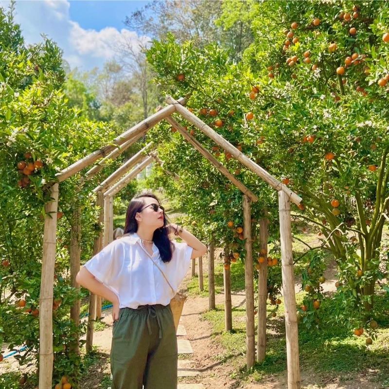 โพสต์ ของ Pan_wa|Lemon8