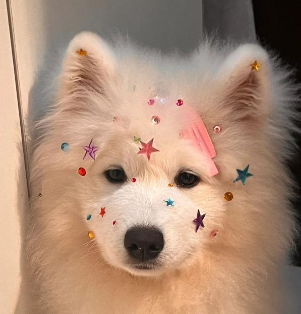 โพสต์ ของ ujhn|Lemon8