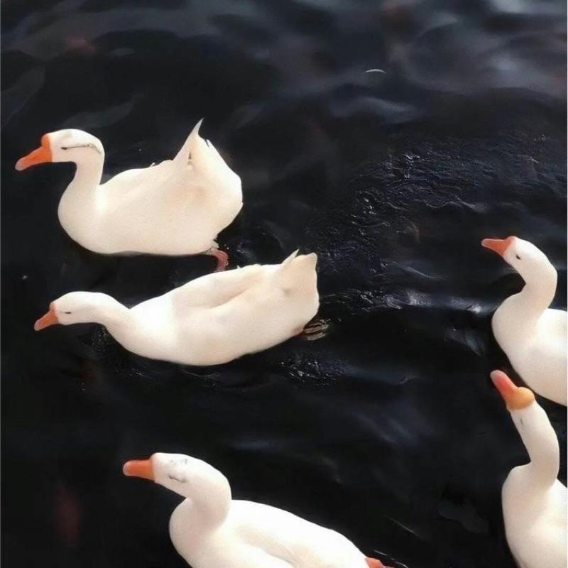 โพสต์ ของ N|Lemon8