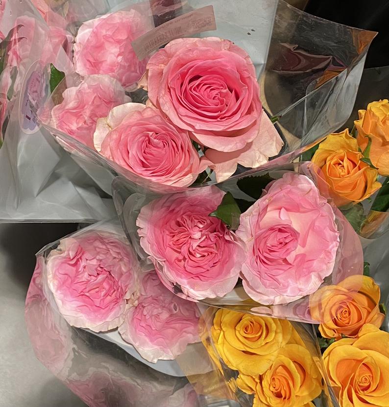 โพสต์ ของ gigie|Lemon8