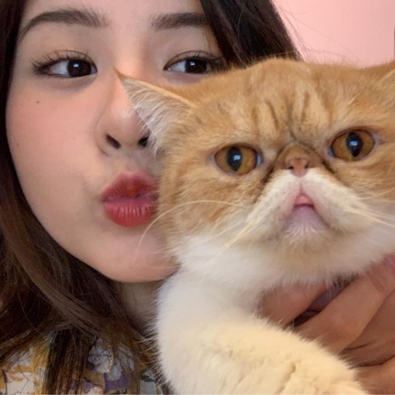 โพสต์ ของ Pingping 💕|Lemon8