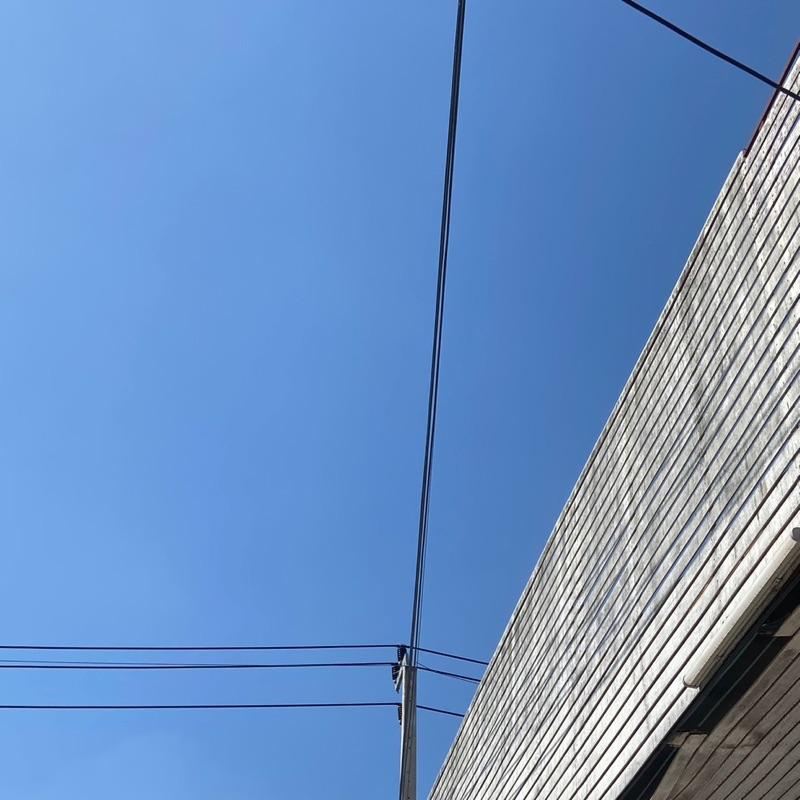 โพสต์ ของ SO|Lemon8